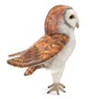 Folkmanis: Barn Owl Puppet - Ages 3+ – Playful Minds